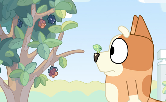 The Weekend | Bluey Official Website