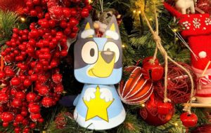 Christmas tree decoration - Bluey Official Website