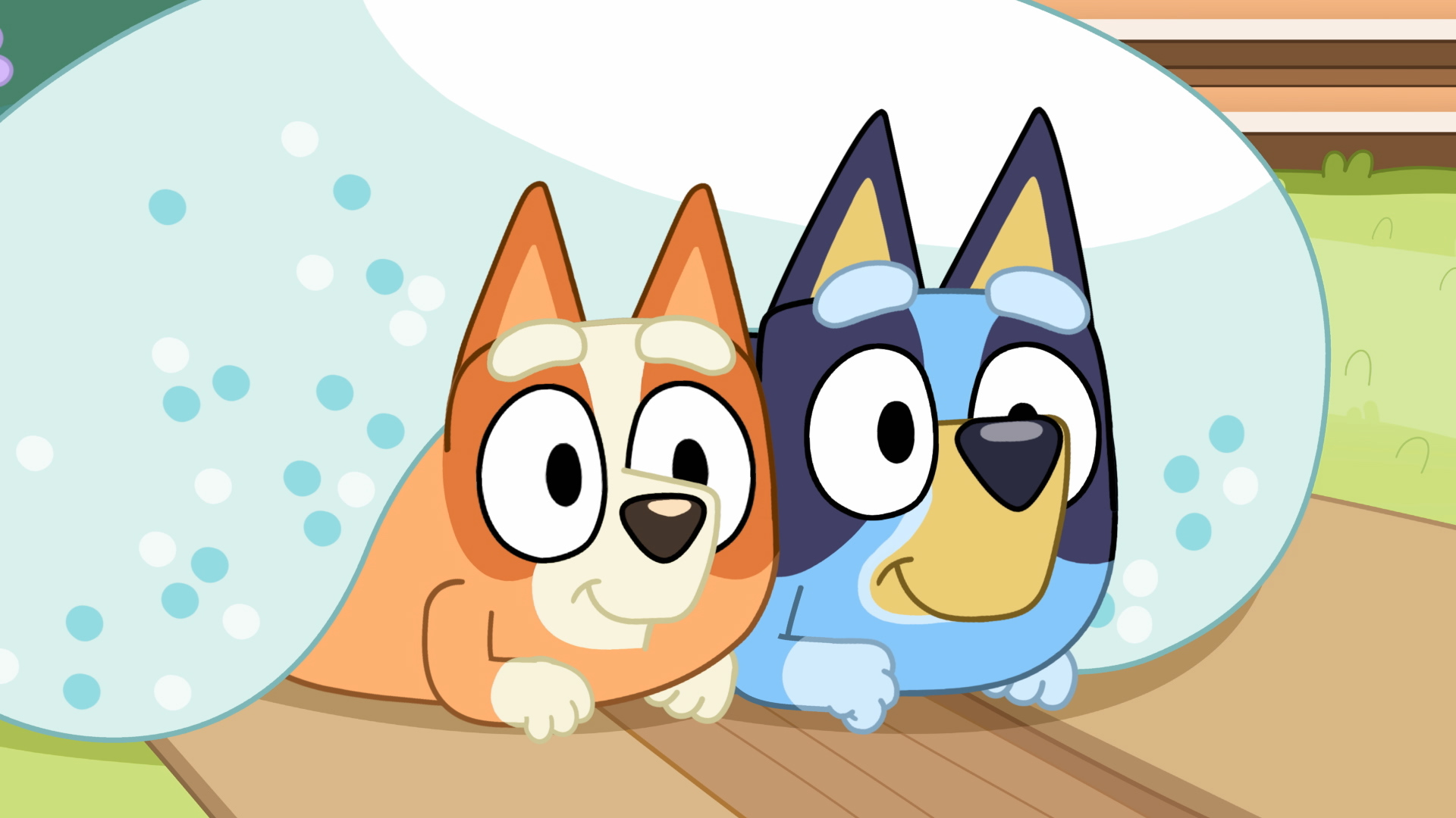 Flatpack - Bluey Official Website