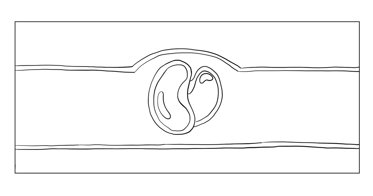 Colour-your-own Beans Label - Bluey Official Website