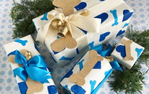 Bluey Wrapping Paper - Bluey Official Website