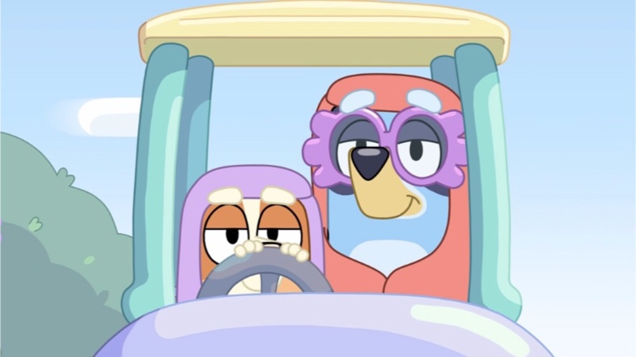 Dress Up Grannies Minky Blanket Costume, Nice Parking Spot Rita Costume ...