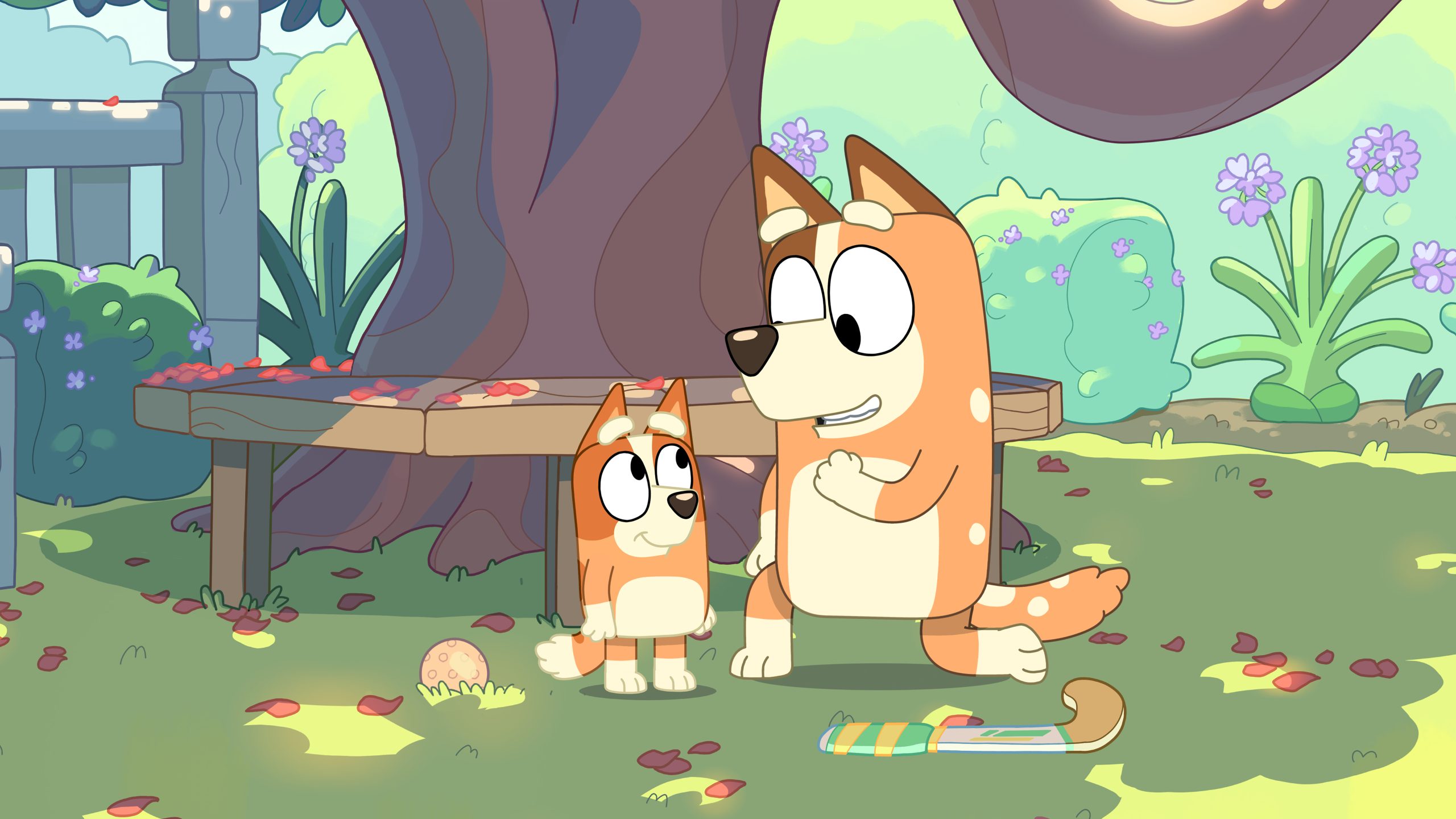 Bingo And Chilli Wallpaper Bluey Official Website Bingo And Chilli Wallpaper Bluey Official Website