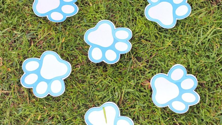 How to make your own Bluey dance party game - Bluey Official Website How to make your own Bluey dance party game - Bluey Official Website