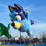 counting down to Macy's Thanksgiving Day Parade® - Bluey Official Website
