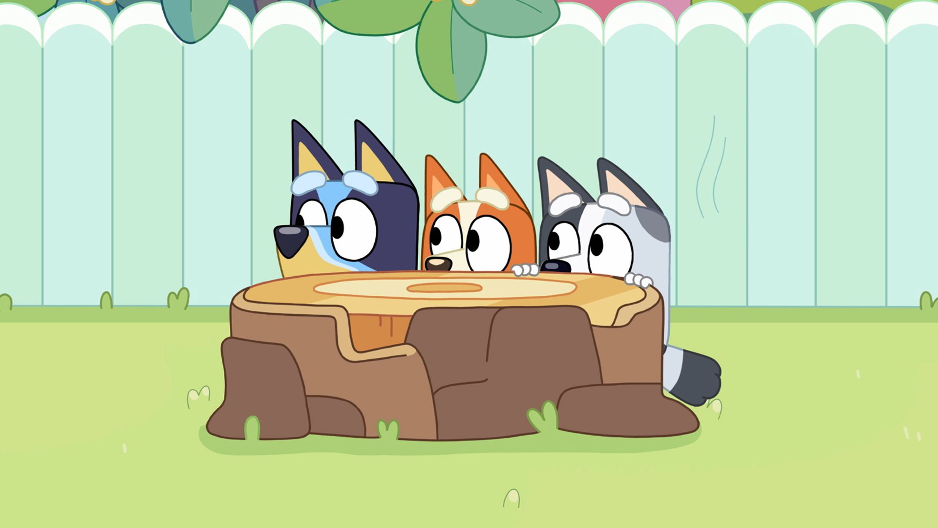 Bluey Season 2, Episode 6 | Stumpfest