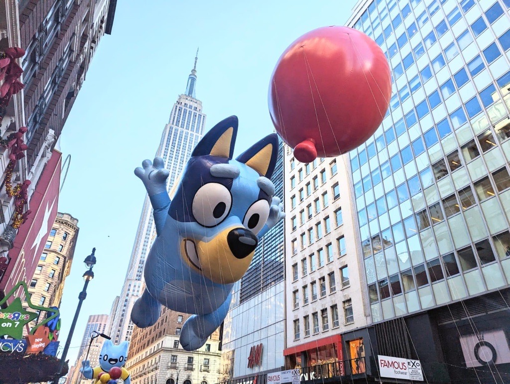 Macy Grå Barn Bia Cordon Bleu Rustico 12 Piece Dinnerware Set