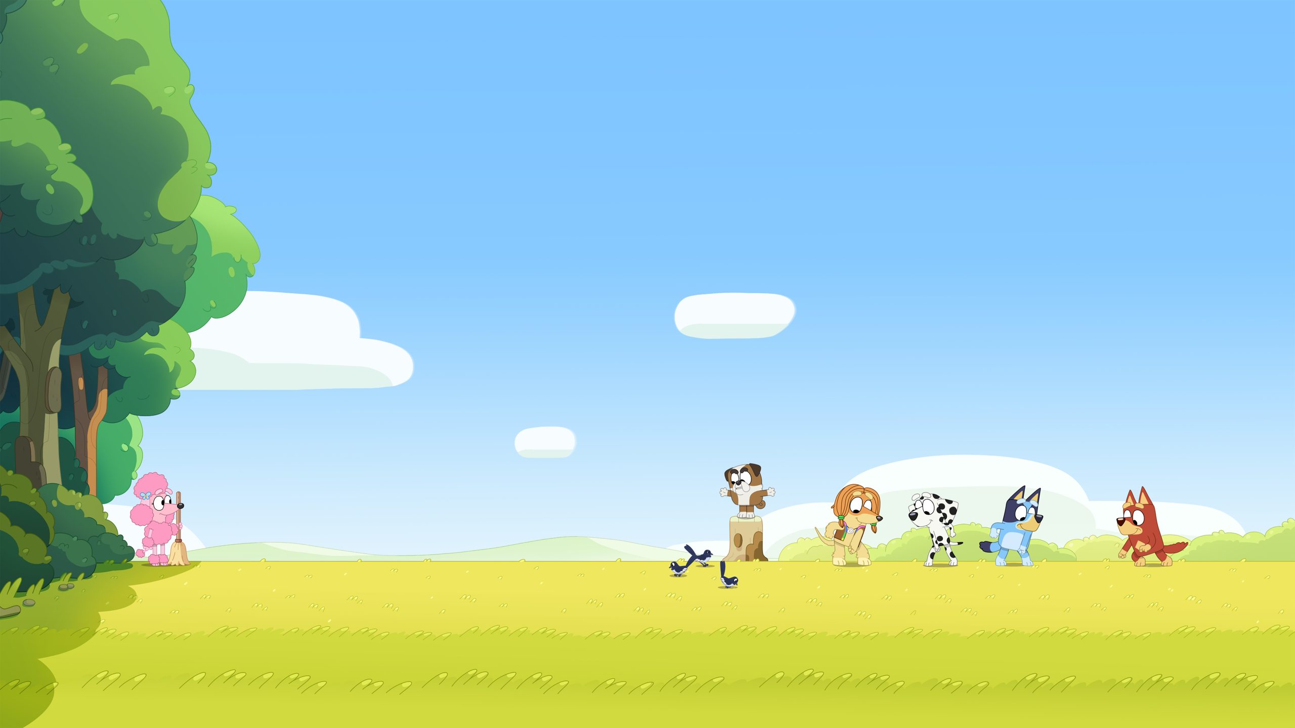 Bluey Season 3, Episode 44 | Wild Girls