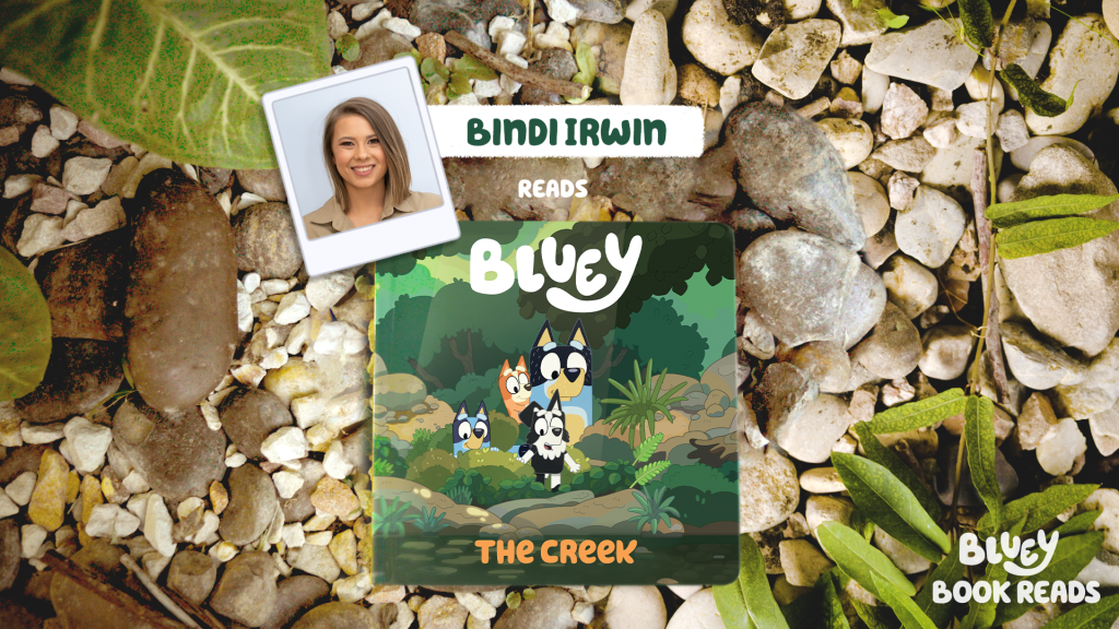 Bluey Bluey Book Reads | 'The Creek' Bindi Irwin Bluey Bluey Book Reads | 'The Creek' Bindi Irwin