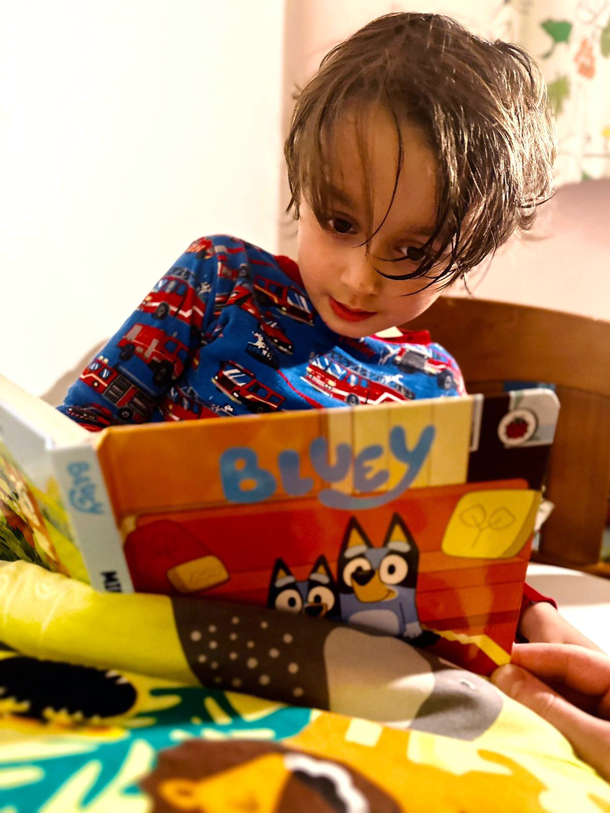 Take the Bluey Book Reads Challenge! - Bluey Official Website