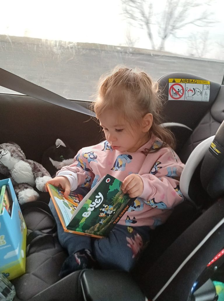 Take the Bluey Book Reads Challenge! - Bluey Official Website