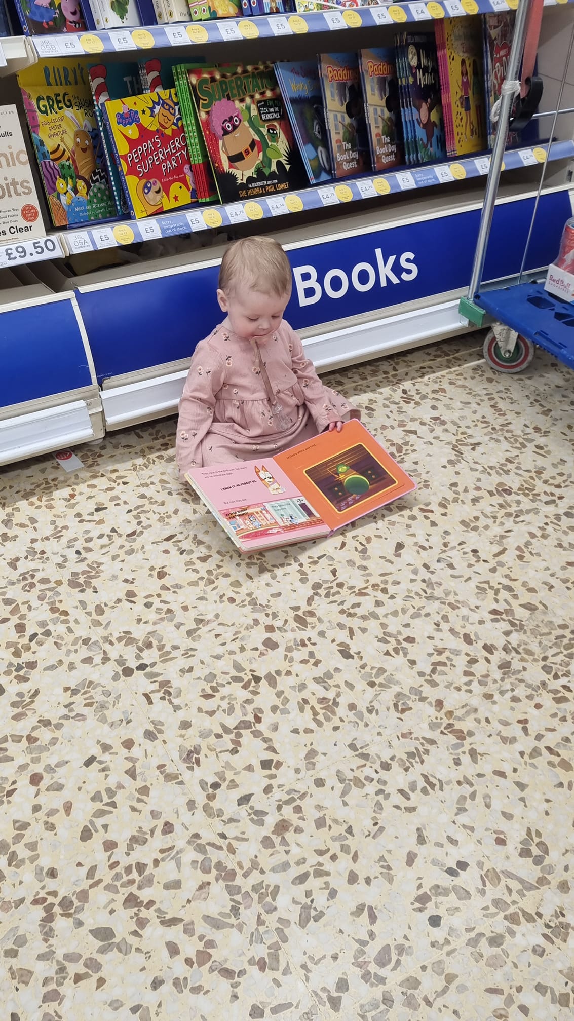 Take the Bluey Book Reads Challenge! - Bluey Official Website