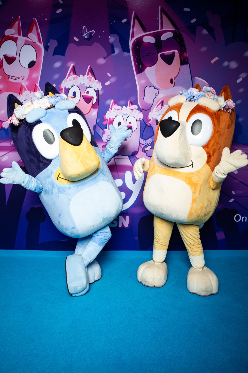 The World Reacts to Bluey "The Sign" - Bluey Official Website