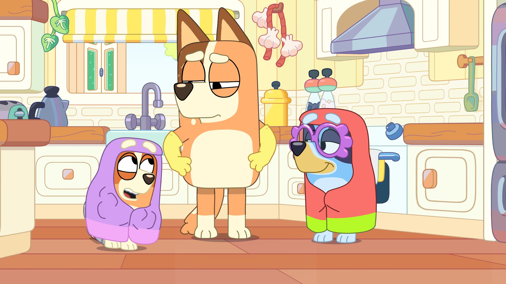 Everything you need to know about 'The Grannies' - Bluey Official Website