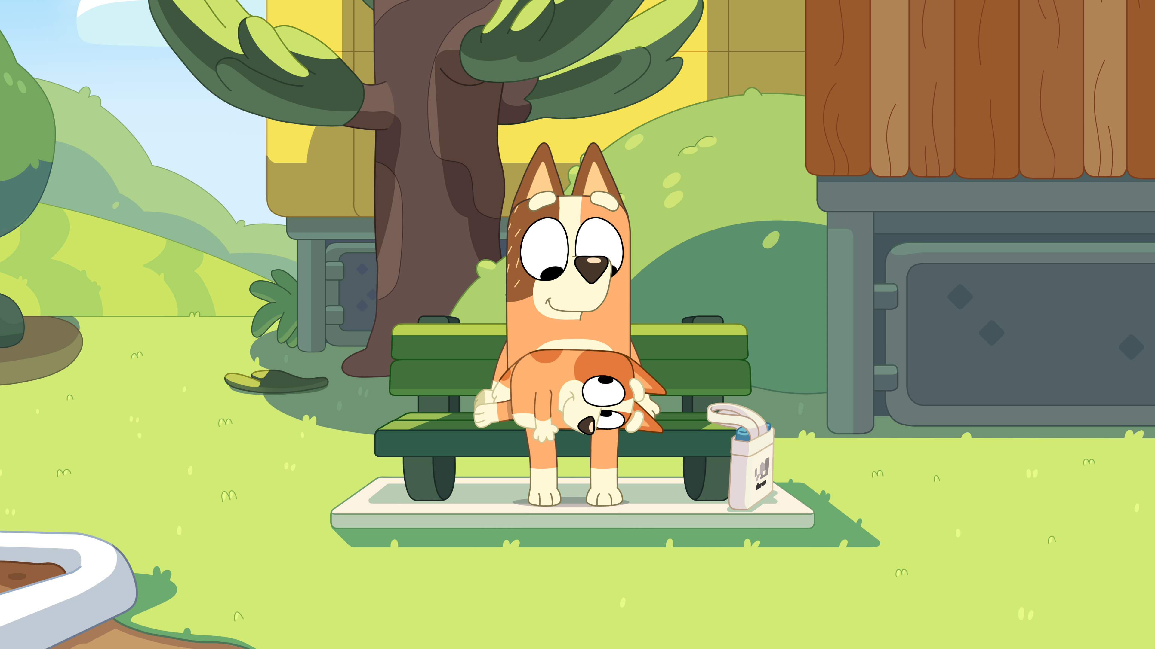 Wild Animals, Bluey🌙 Experimente a Adrenalina dos Jogos Online com os ...