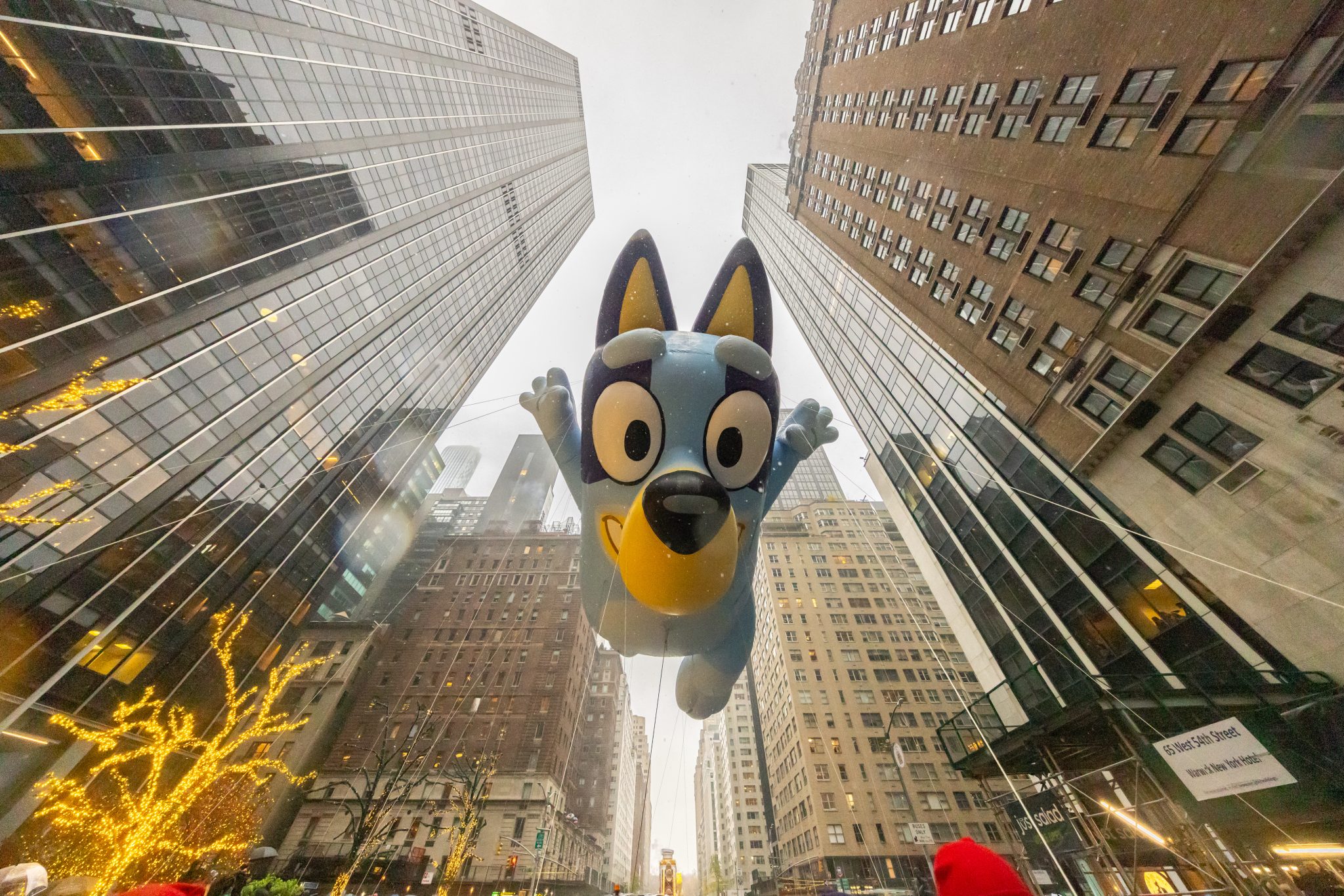 Highlights: Bluey and the Grannies at Macy's 2024 - Bluey Official Website