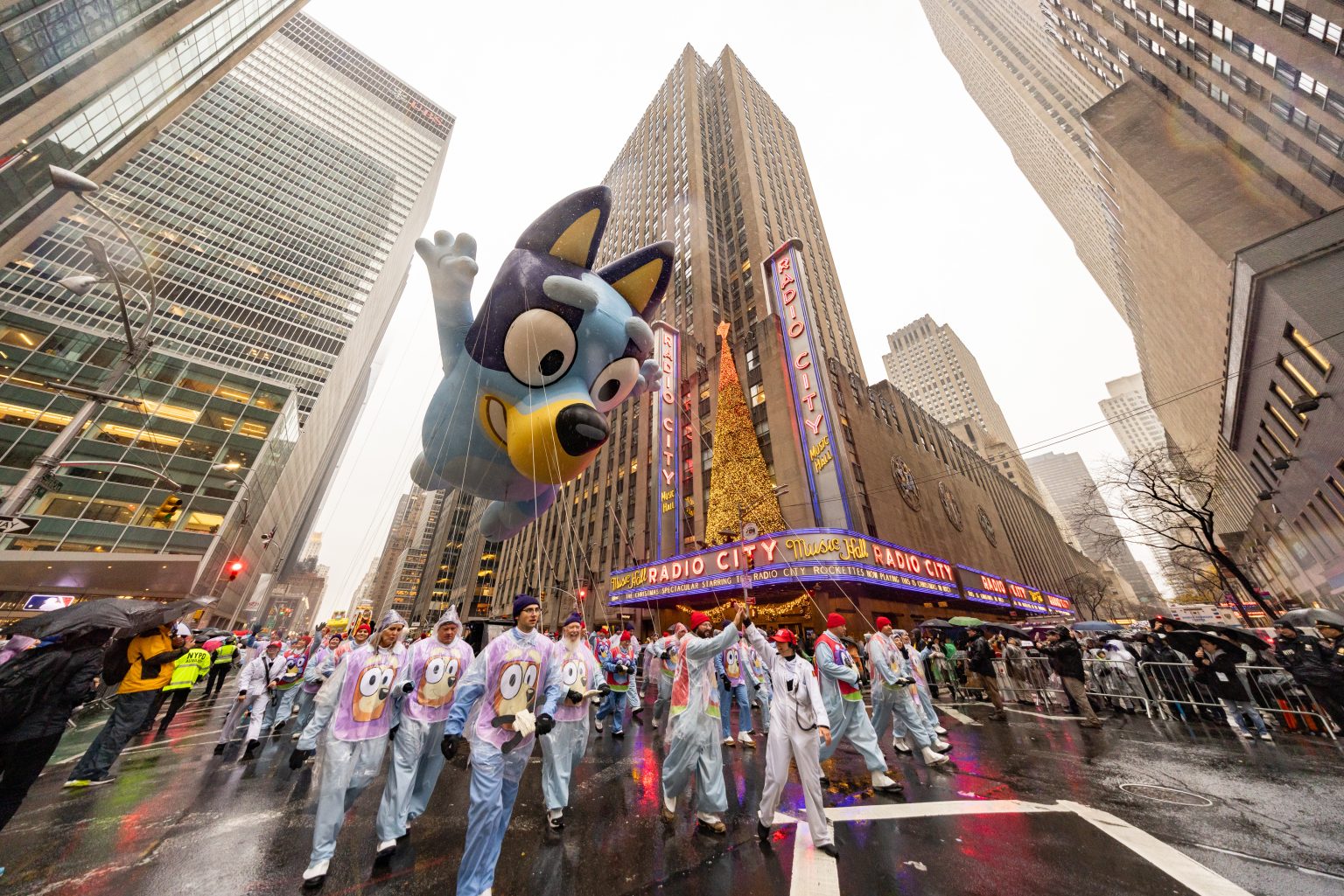 Highlights: Bluey and the Grannies at Macy's 2024 - Bluey Official Website
