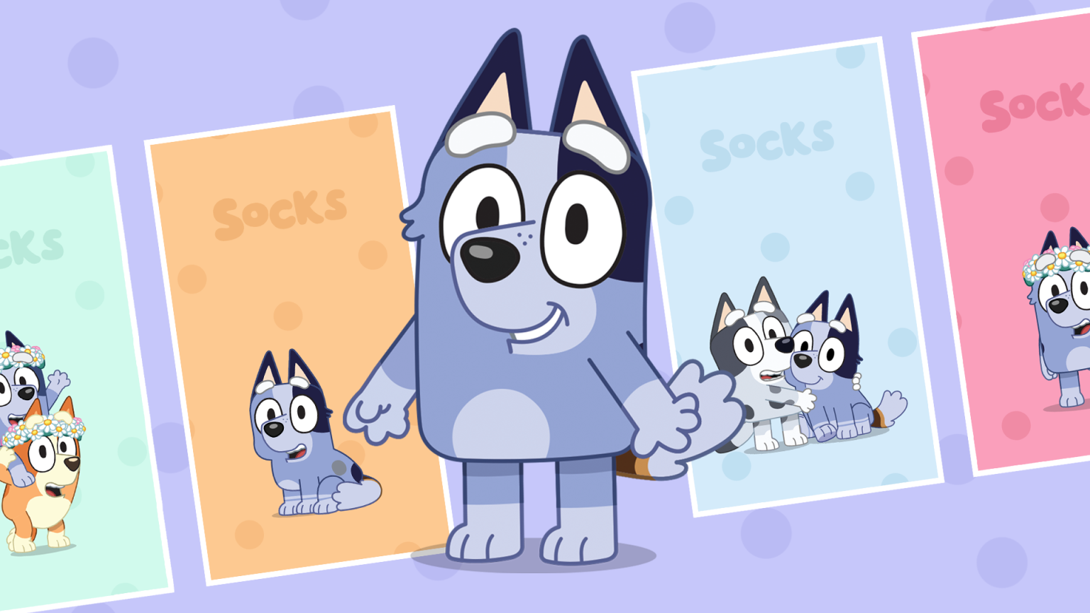 Socks Phone Wallpapers - Bluey Official Website