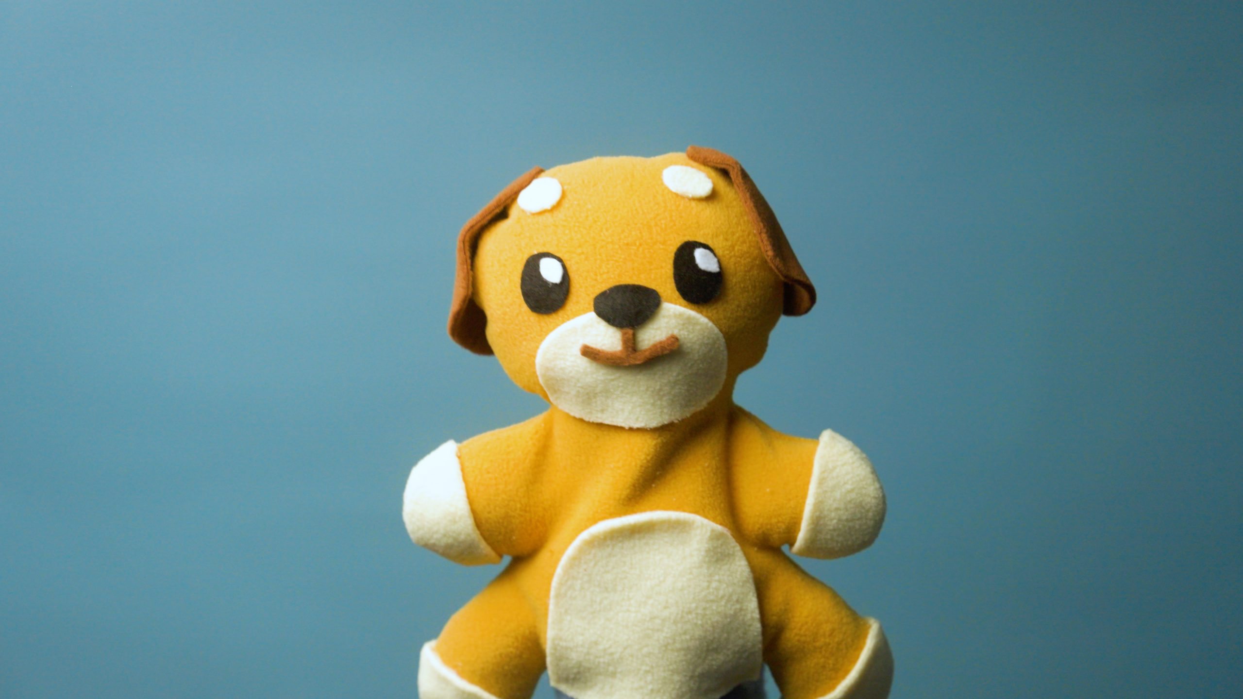 Bluey Bluey Puppets, Episode 5 | Make a Kimjim Puppet!